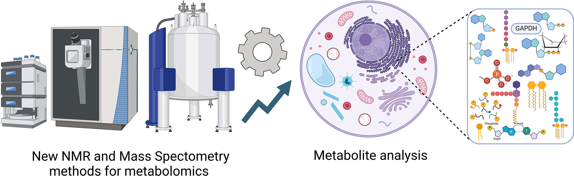 Review of new methods in mass spectrometry and NMR metabolomics published today! | McCullagh ...